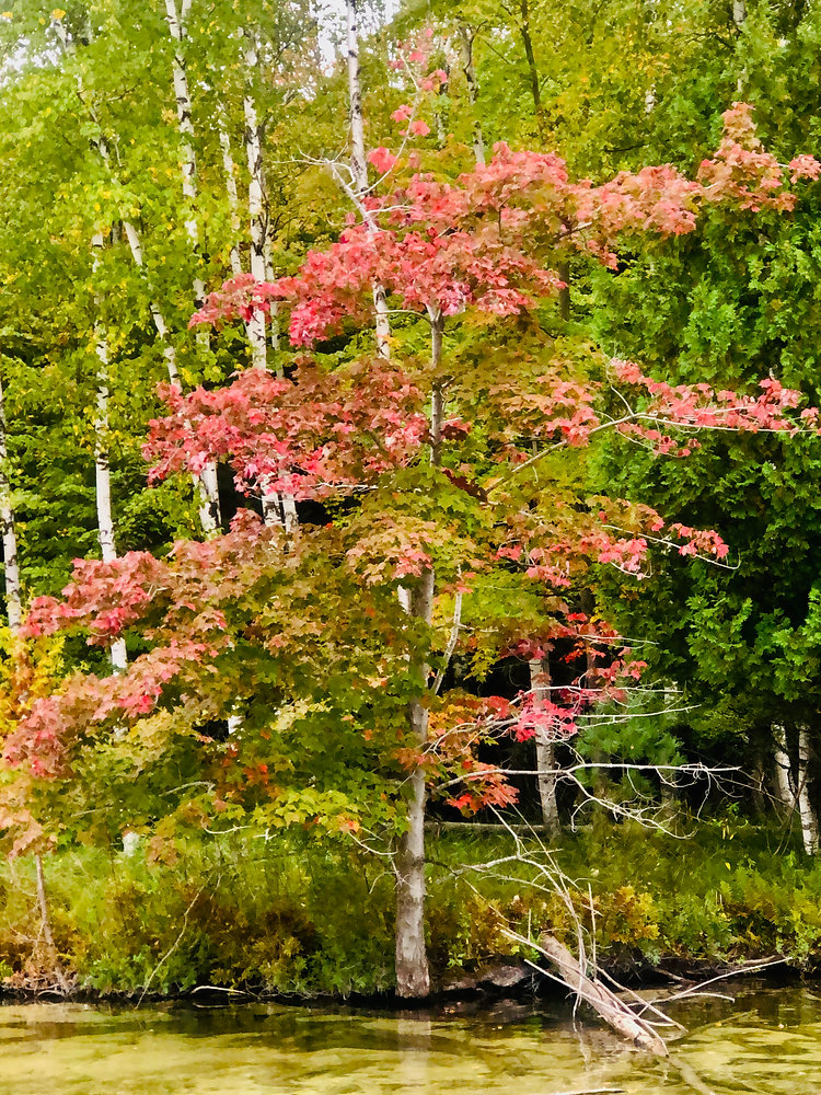 Do you know of the Ember Months?