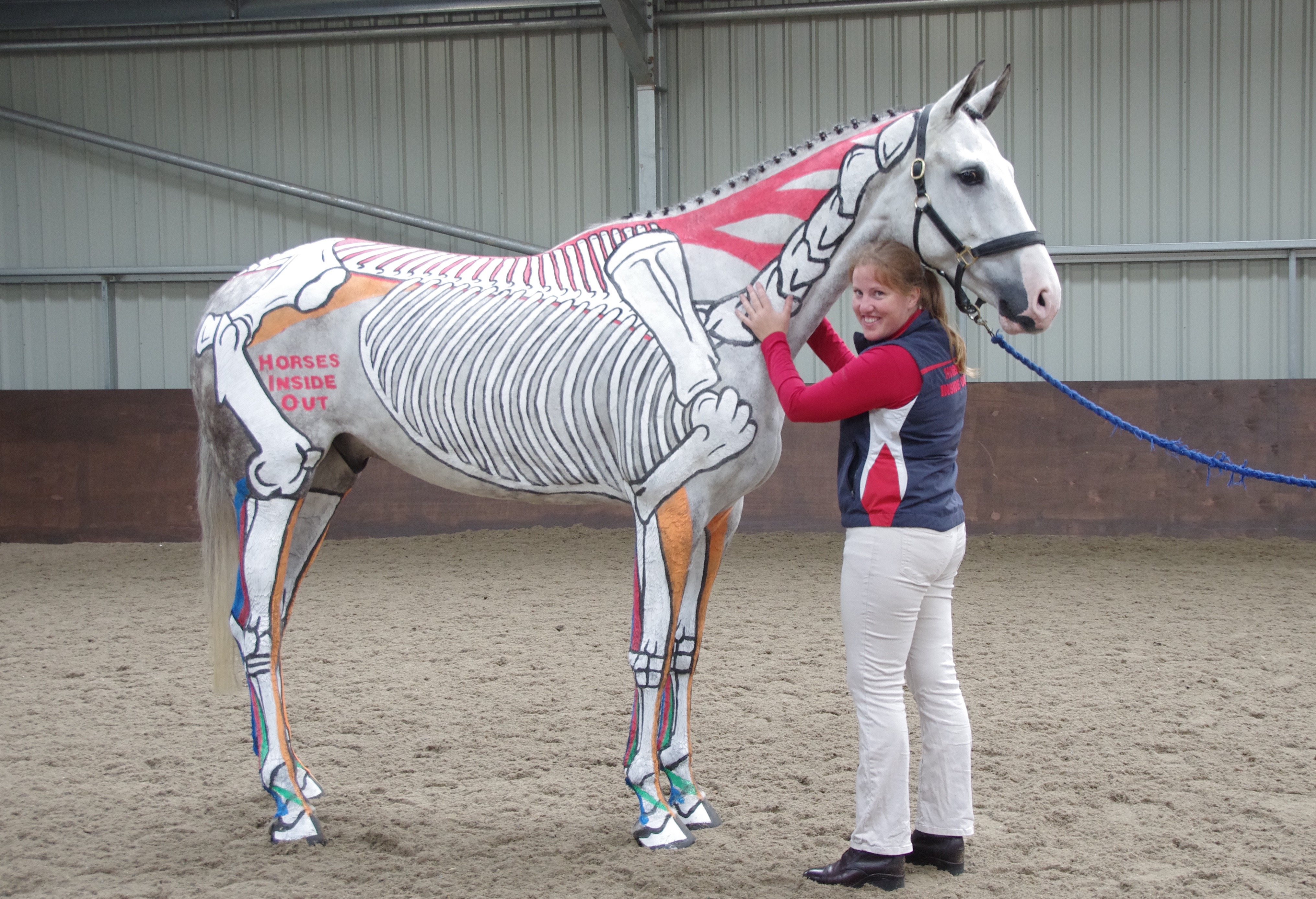 An Evening with Gillian Higgins and Horses Inside Out
