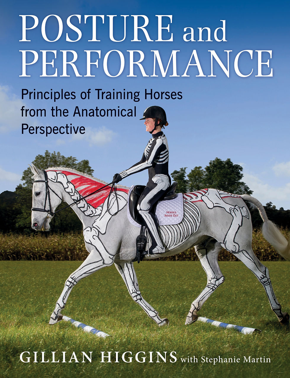 Skeletal Maturity in Horses: Growth Plate Ossification and Age ...