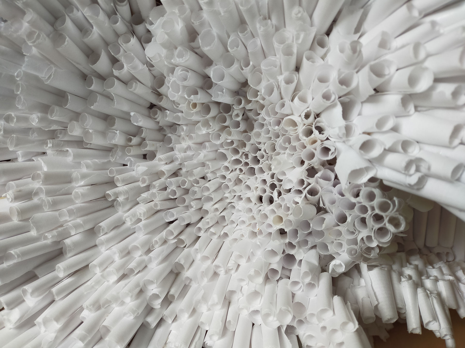 Dominique Pascal Artiste plasticienne Occitanie