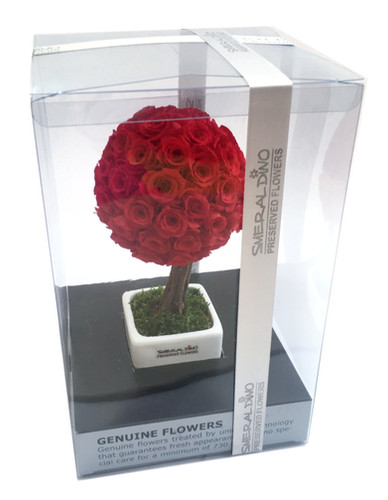 Princess tree red by SMERALDINO | xqsit roses