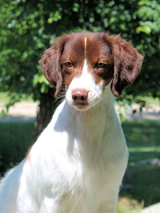 Chancie | Mysite