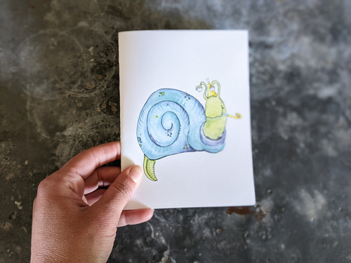 Snail Mail for all events | Donkey and Lion