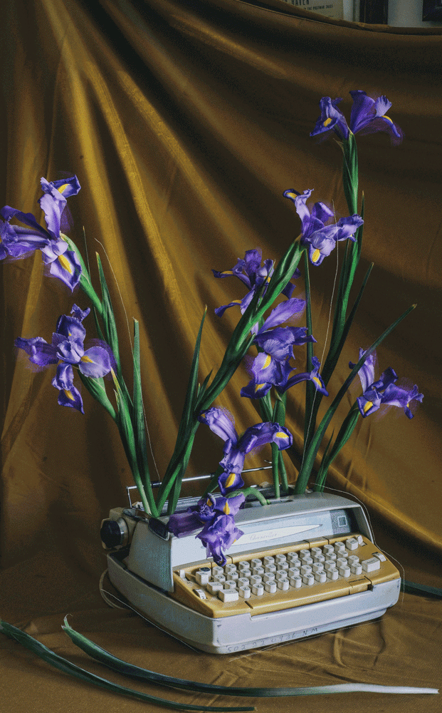 $2,000 Artist Grant | Summer 2024 | TERAVARNA ART GALLERY