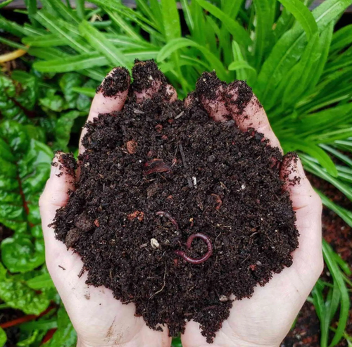 Compost | Mother Earths Agway