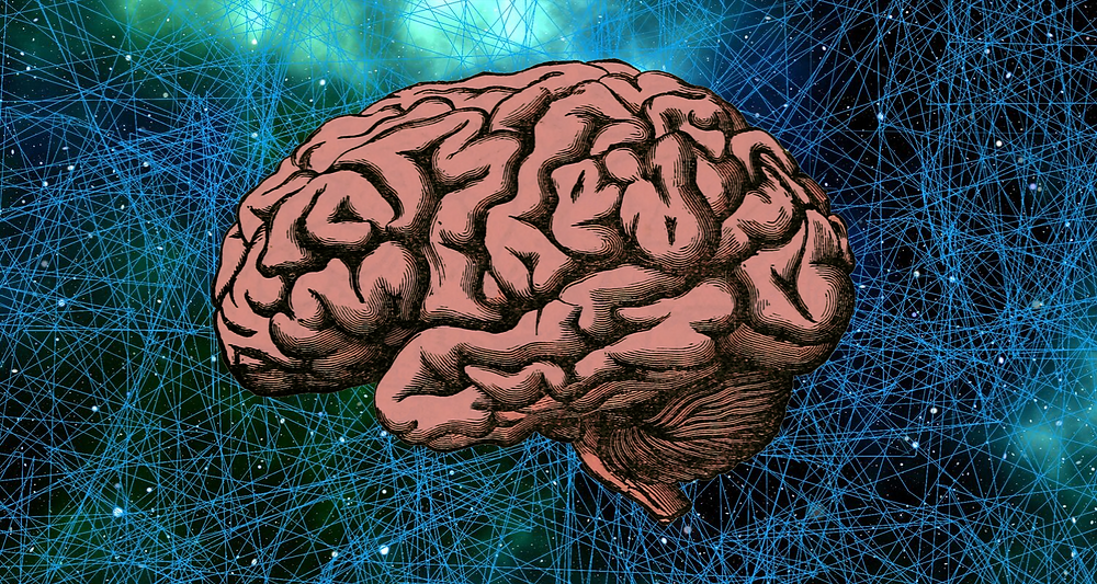 Understanding is not memorizing