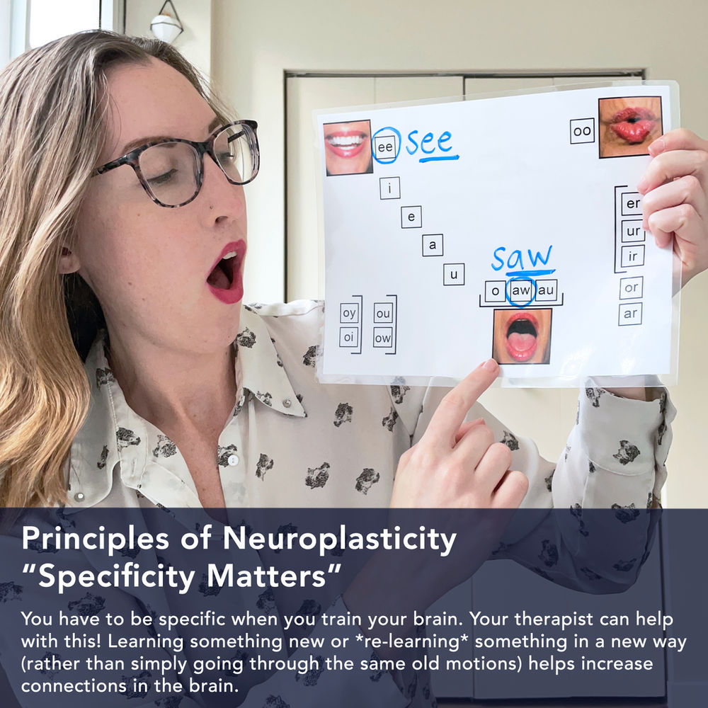 10 Principles of Neuroplasticity