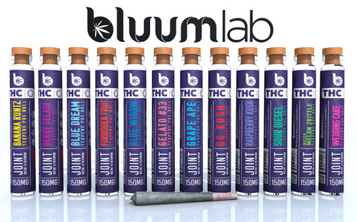 Bluum Lab - THCO 1.5G Pre Roll Joint (150MG / Display of 12) | Vape & Smoke