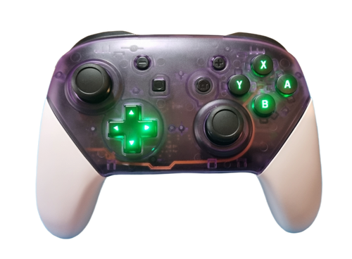 RGB Pro Controller With Shell | lestatsmods