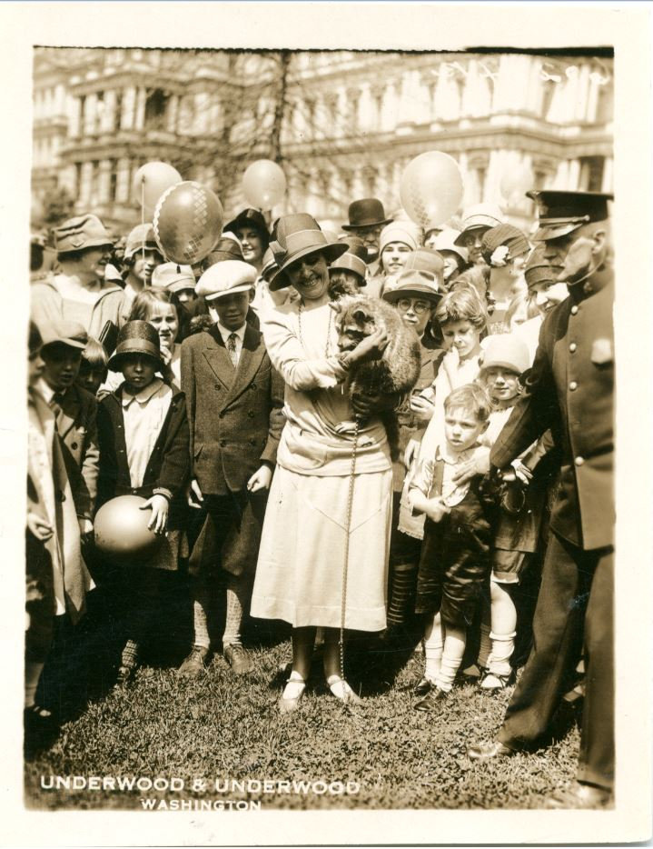 The Pennsylvania Avenue Zoo