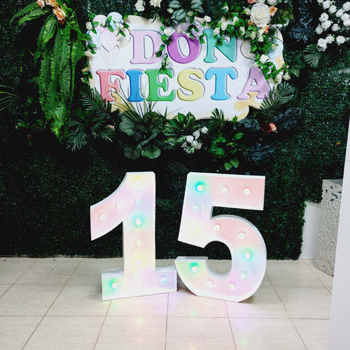Numero 15 con bombillas madera | DonFiesta