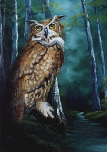 Midnight Owl Wildlife Packet | Paint With Steven