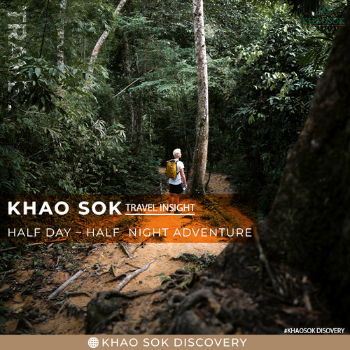 EX-06 HALF DAY-HALF NIGHT JUNGLE TREK ADVENTURE | Khaosok Discovery