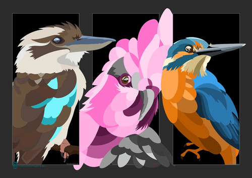 Native bird Trio. | RHG