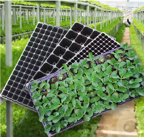 Growing Seedling Trays(Garden Nursery Tray) | DIGITIZED AGROSPACE
