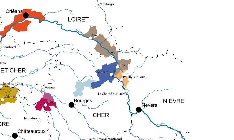 All About the Loire Valley Wine Region