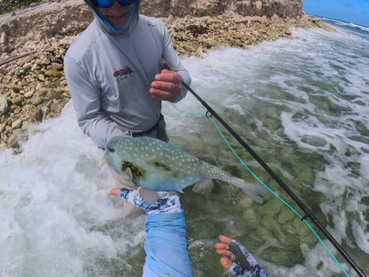 Silver Kings | St. Croix Inshore Fishing Charters | Kayak Eco-Tours | USVI