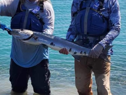 Silver Kings | St. Croix Inshore Fishing Charters | Kayak Eco-Tours | USVI