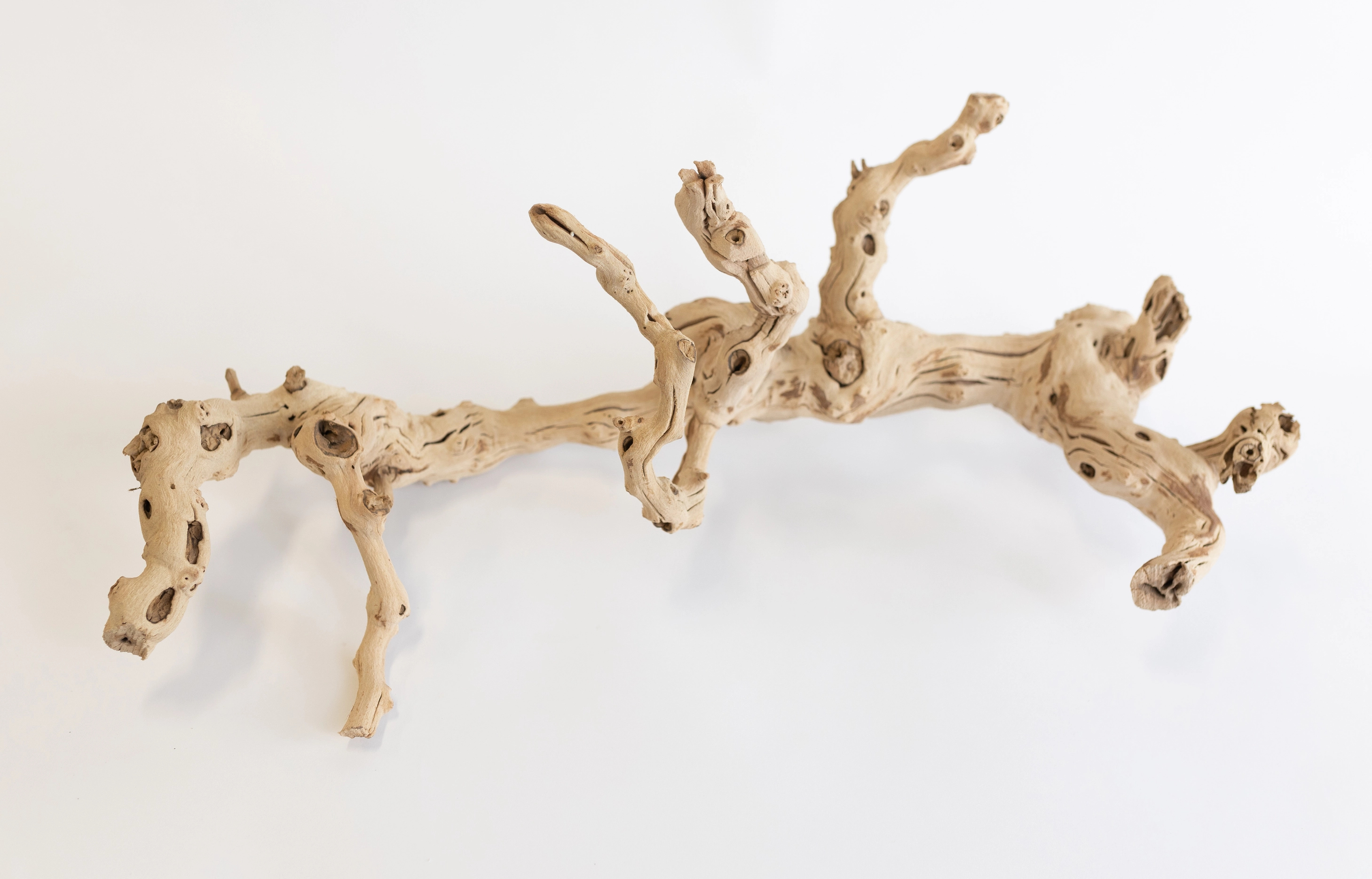 All Natural Grapewood Branches | Flourish & Foundry Boston