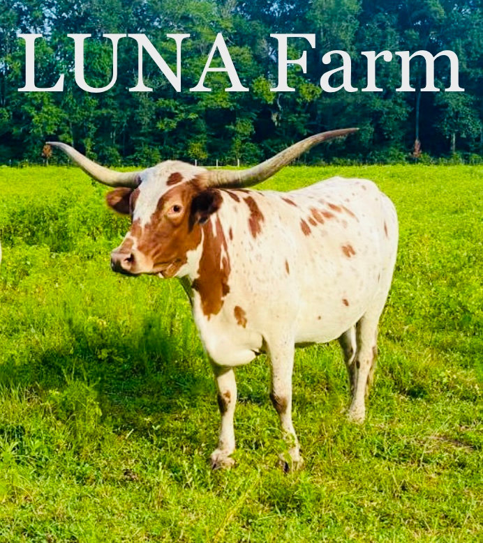 Luna Farm LLC | HBA Lowcountry