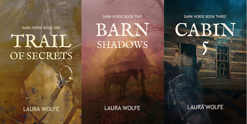 Author Laura Wolfe Michigan | Laura Wolfe