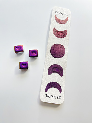 Tripolee - Watercolor | Dreamland Watercolor