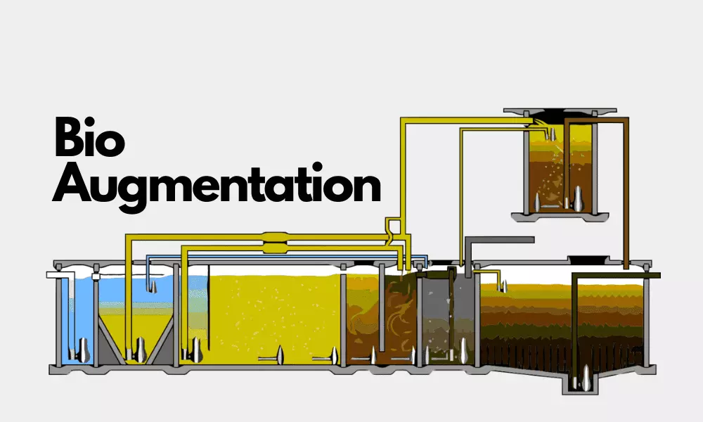 Bio Augmentation to improve STP Health | riteways