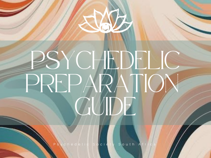 Psychedelic Journey Preparation Guide Psychedelic Society