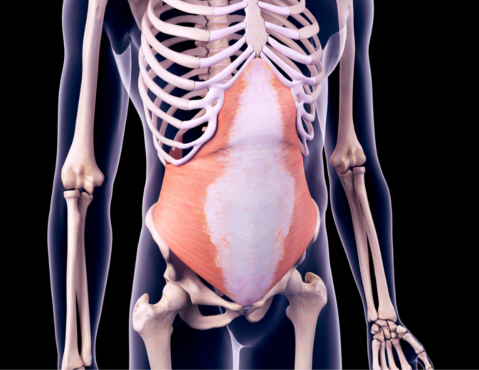 ¿Qué es el CORE y por qué es tan importante fortalecerlo?