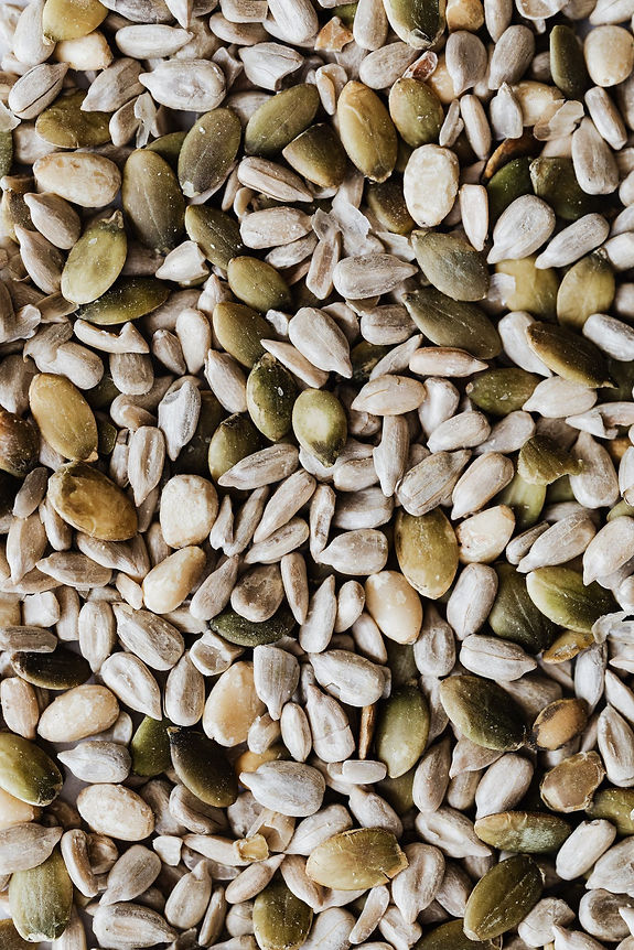 Dehydrated Pumpkin Kernel | Dried Food Supplier