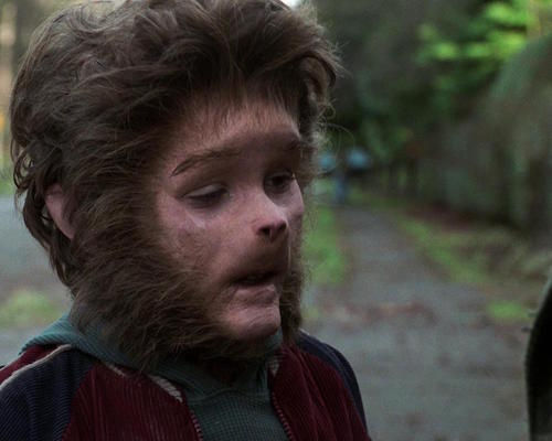 Bradley Pierce - Peter Shepherd - Jumanji - 8x10 & 11x14 Photo | CelebWorx