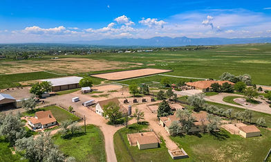 Home | Skyline Stables