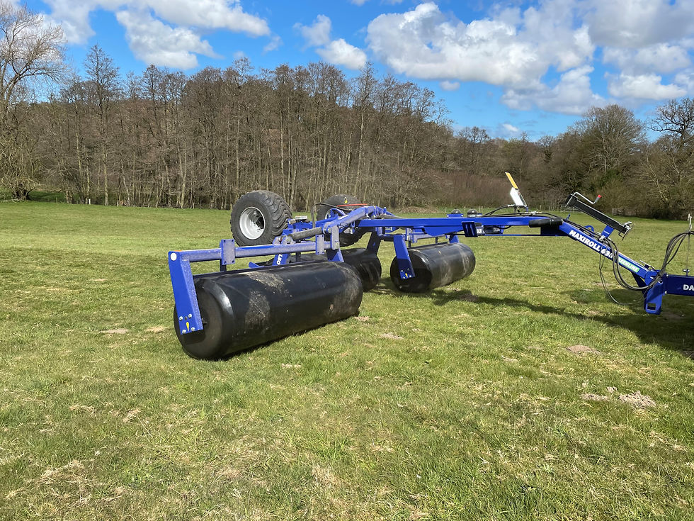 Dalbo Rollers and Disc Chains