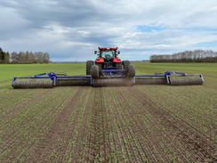 Dalbo Rollers and Disc Chains