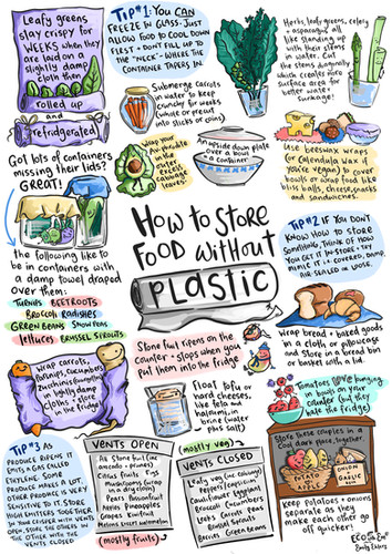 How to store food without plastic - DIGITAL DOWNLOAD | Eco with Em