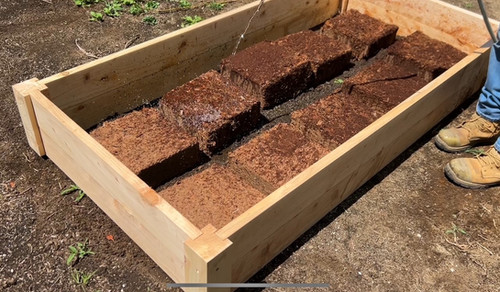 Coco Blocks SOIL - Just Add Water - Each Block Makes 50-60L | MacDirect