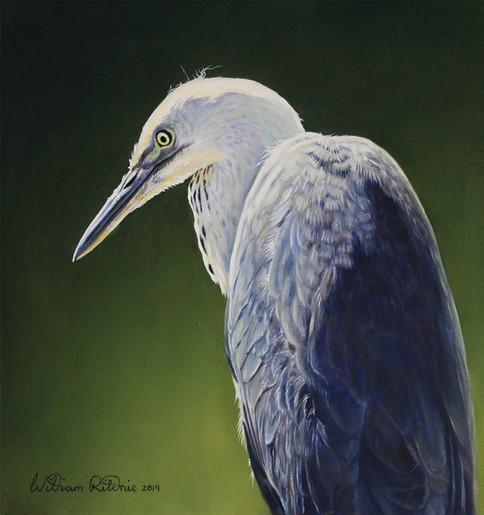 Paintings | William Ritchie Artist