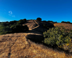Memorial Ridge Trail | SanAnselmoOpenSpace