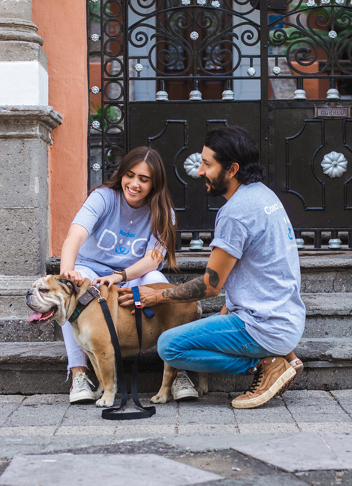 Adiestramiento Canino a Domicilio en CDMX, Guadalajara, Monterrey y Más ...