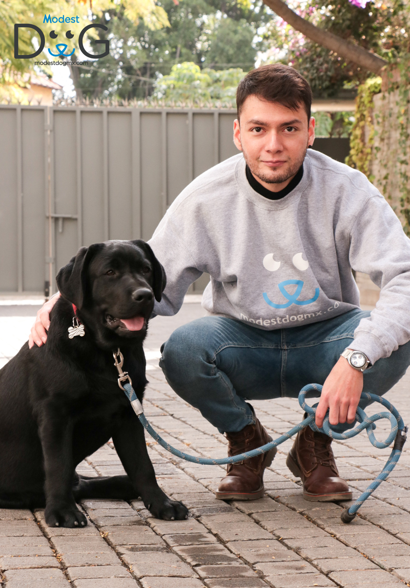 Adiestramiento Canino en Puebla: ¡Transforma el Comportamiento de tu ...