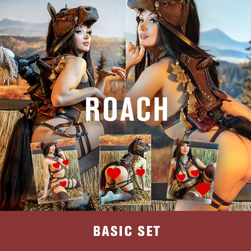 Roach (Witcher 3) - Basic Set | Azura Cosplay
