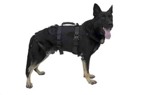 CMC-K9 PROSERIES® RAPPEL HARNESS | Trans-Care Rescue