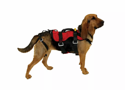CMC-K9 RAPPEL HARNESS | Trans-Care Rescue