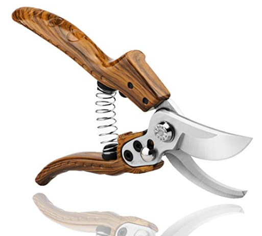 My Top 10 Floral Tools