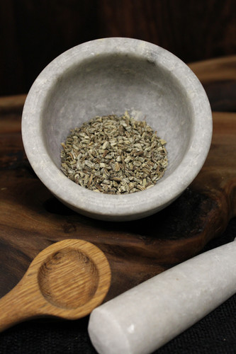 Echinacea Root | Tria Prima Botanica