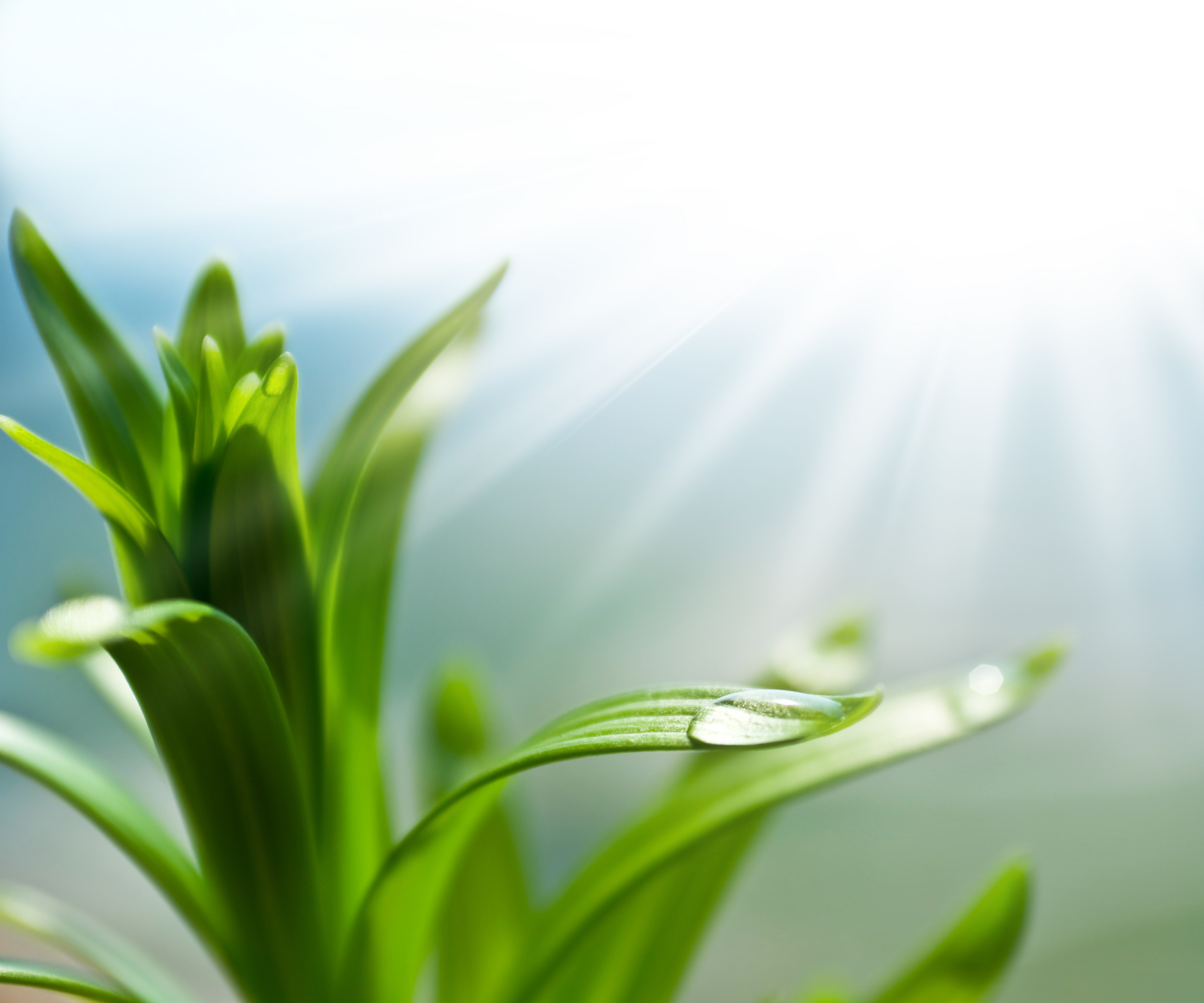 Cape Wellness Collaborative | Helping people facing cancer feel better.