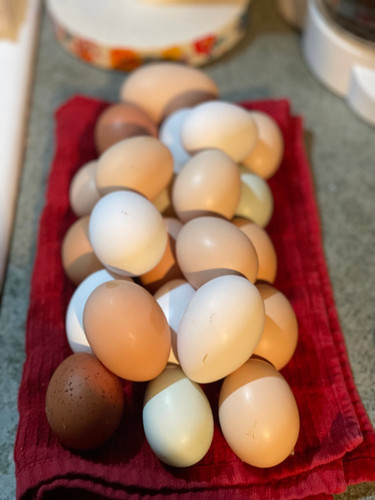 18 Pk Farm-Fresh Chicken Eggs | Crooked Creek Farms