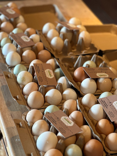 12 Pk Farm-Fresh Chicken Eggs | Crooked Creek Farms