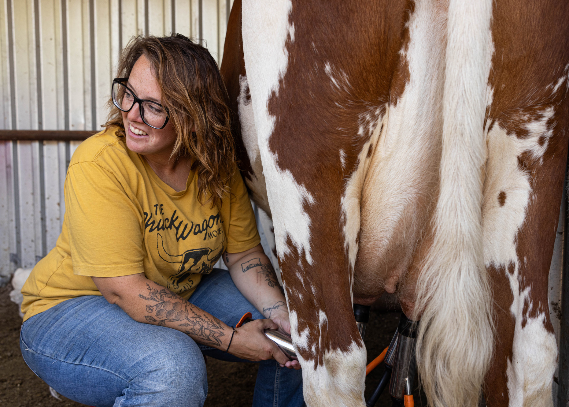 Raw Milk In My Area | Crooked Creek Farms | Sidney