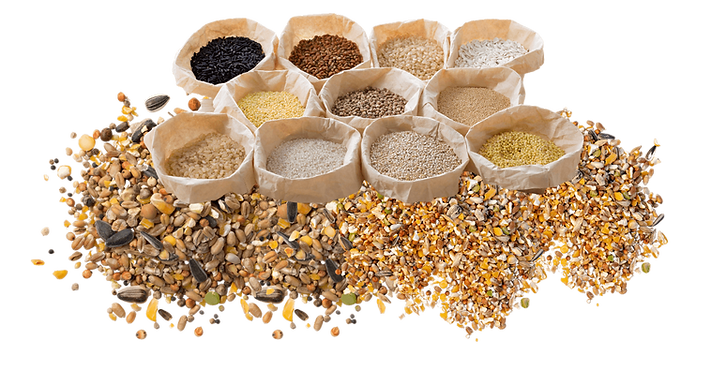 MHW MILLET PRODUCTS | Mhwoverseas